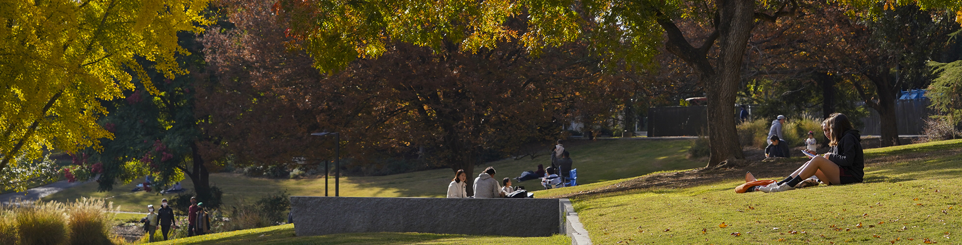 UC Davis - TheCollegeTour.com