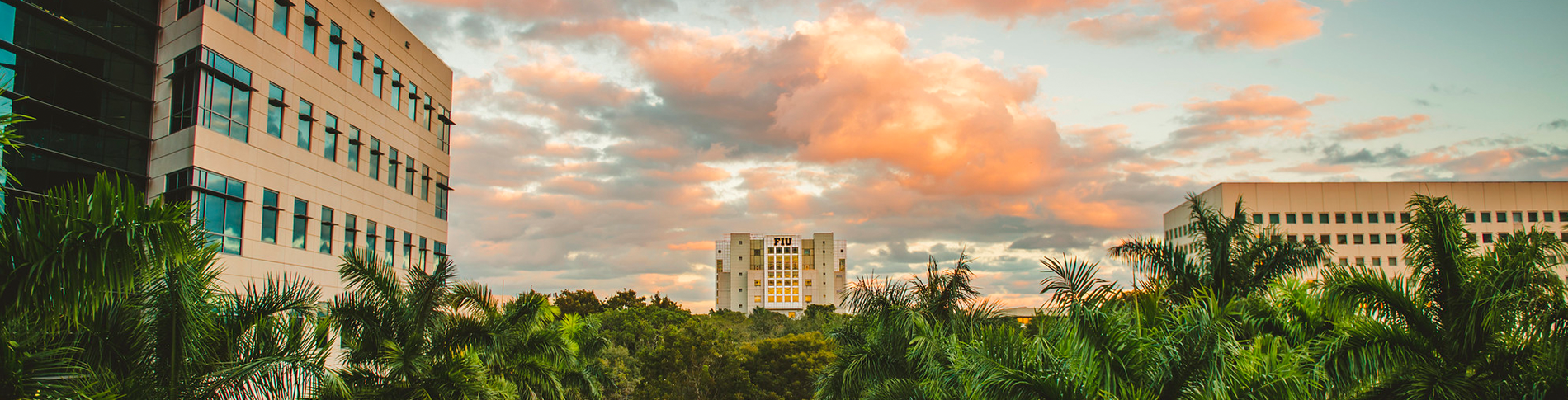 Florida International University - TheCollegeTour.com