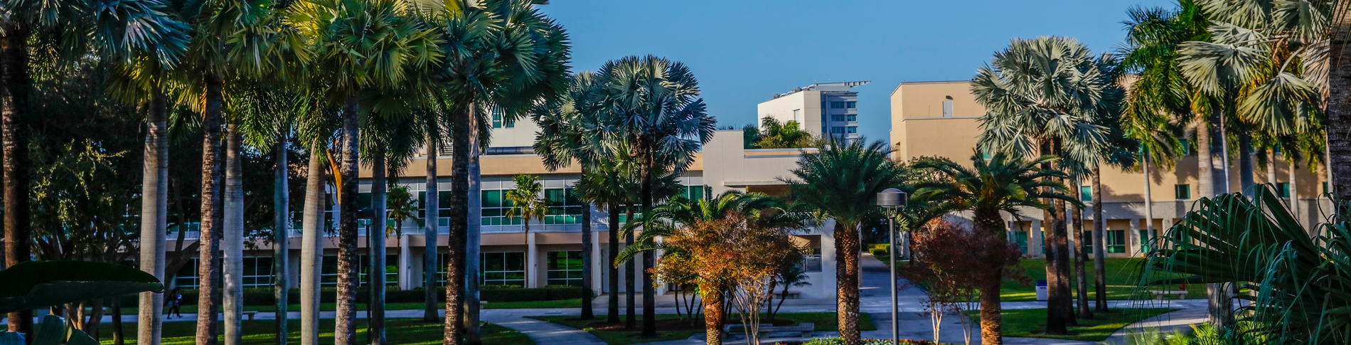 Florida Atlantic University - TheCollegeTour.com