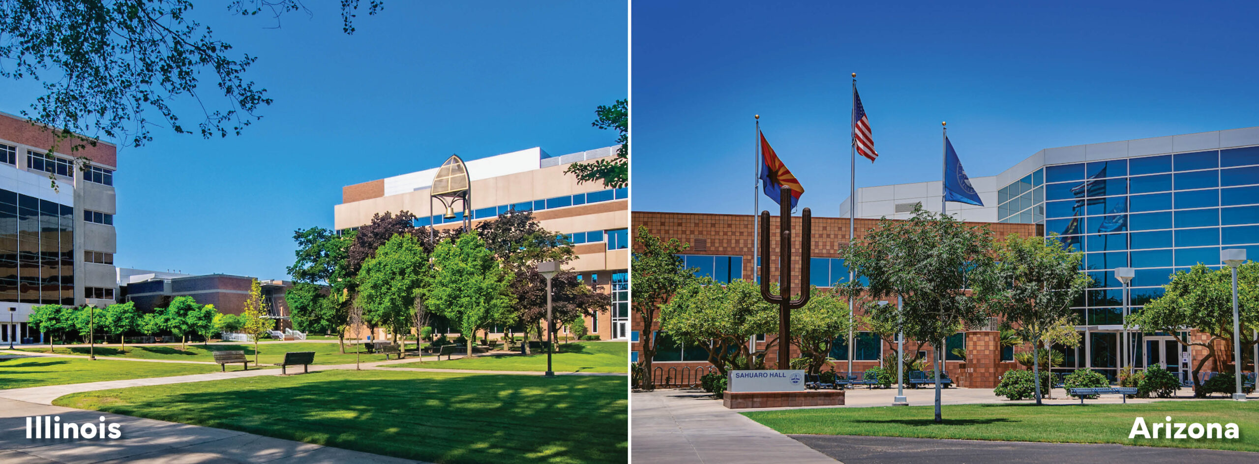 Midwestern University Logo